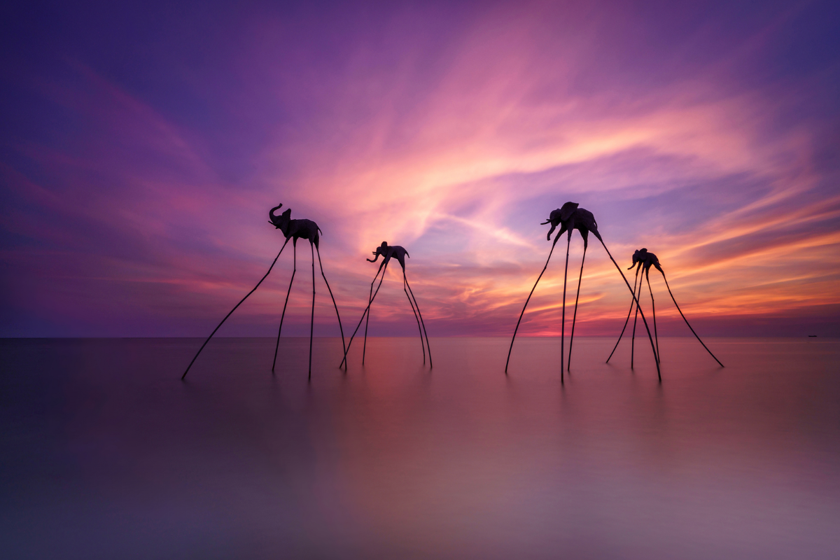 Explore the Wonders of Phu Quoc Island: Scenic Tour of 4 Islets & Hon ...