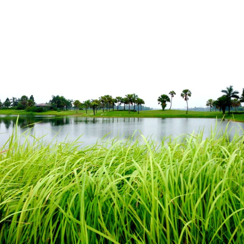 5D4N Sapa Grand Golf Tour