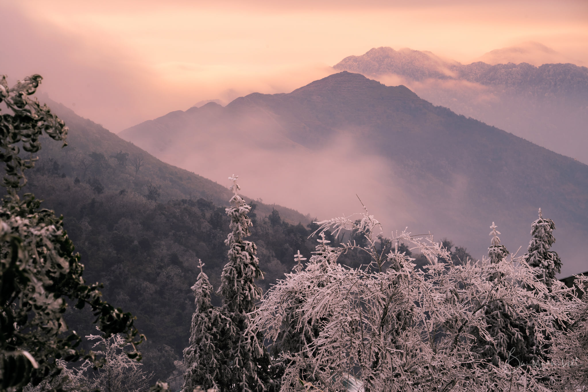 The Completed Guide – Sapa in January (Updated 2025)