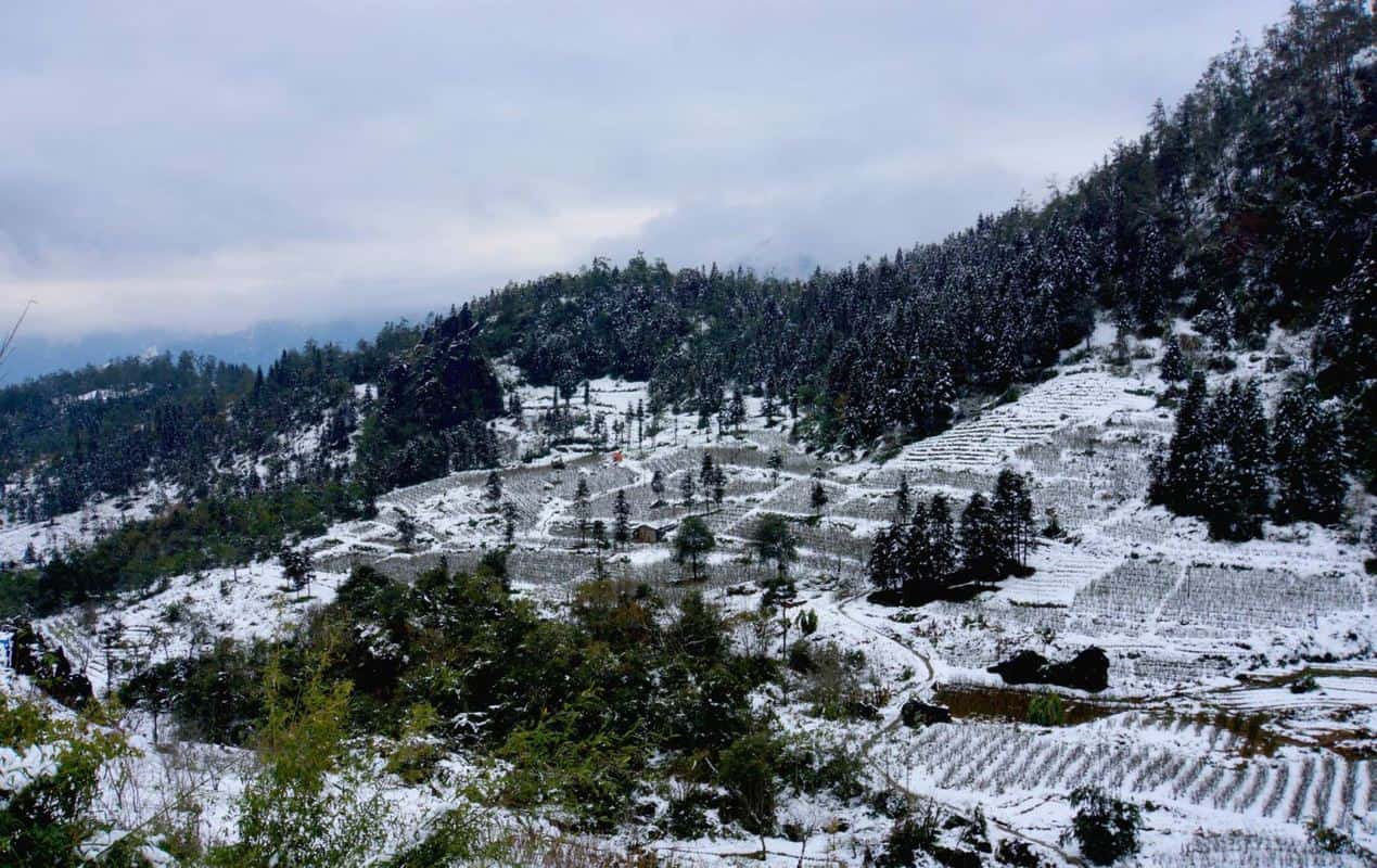 The Completed Guide – Sapa in January (Updated 2025)